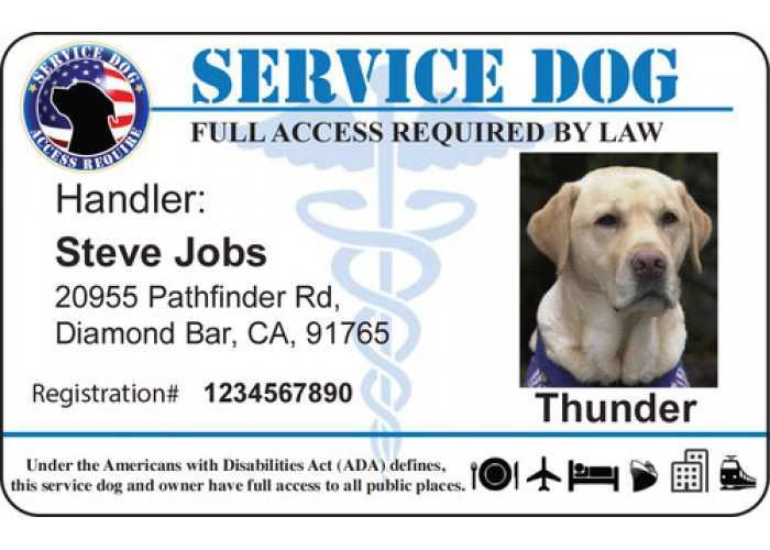Free Printable Service Dog Id Card Template