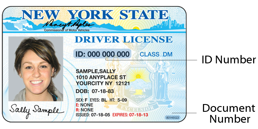 63 Create New York Id Card Template In Photoshop For New York Id Card 