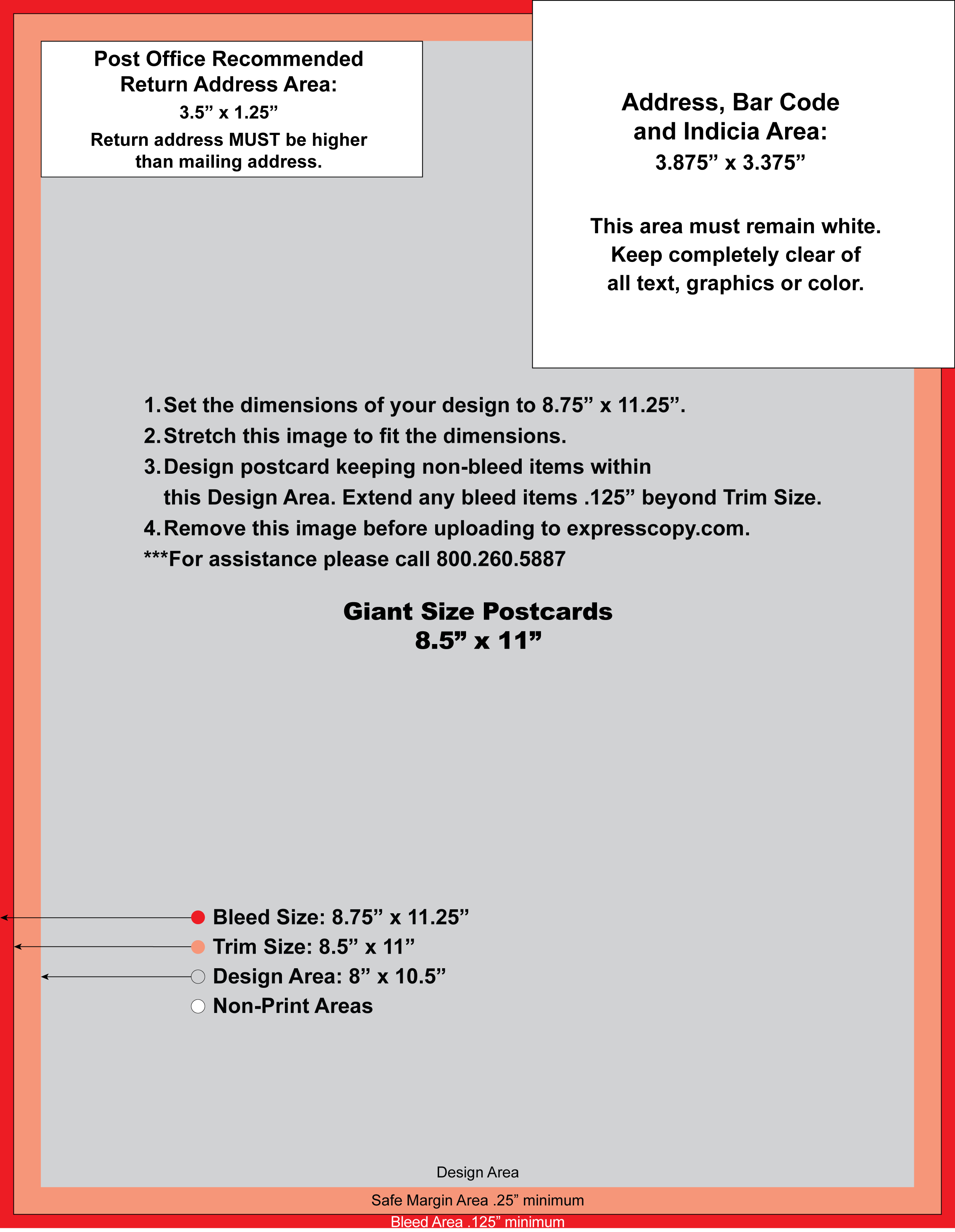 Postcard Mailer Template Cards Design Templates