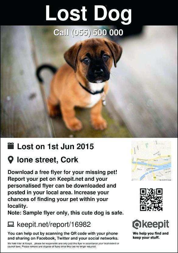 Missing Pet Flyer Template Cards Design Templates